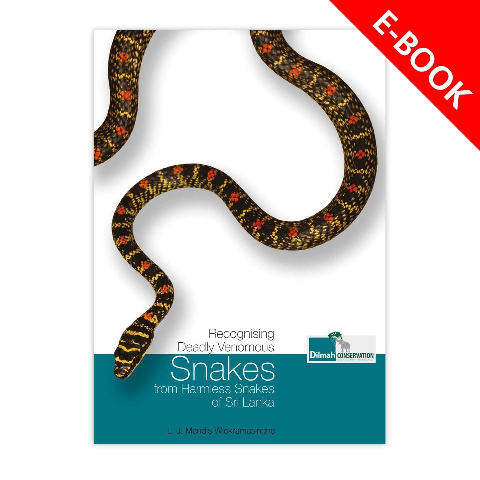 Recognizing Venomous Snakes In Sri Lanka | Dilmah Tea - Dilmah Ceylon Tea